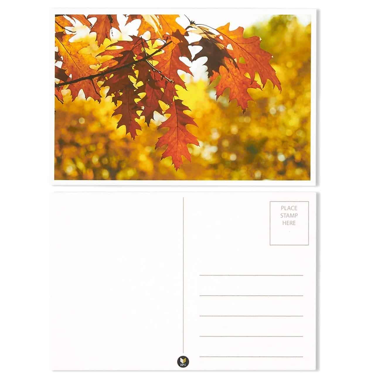 Four Seasons Variety Pack Postcards - AnchoredScraps.com