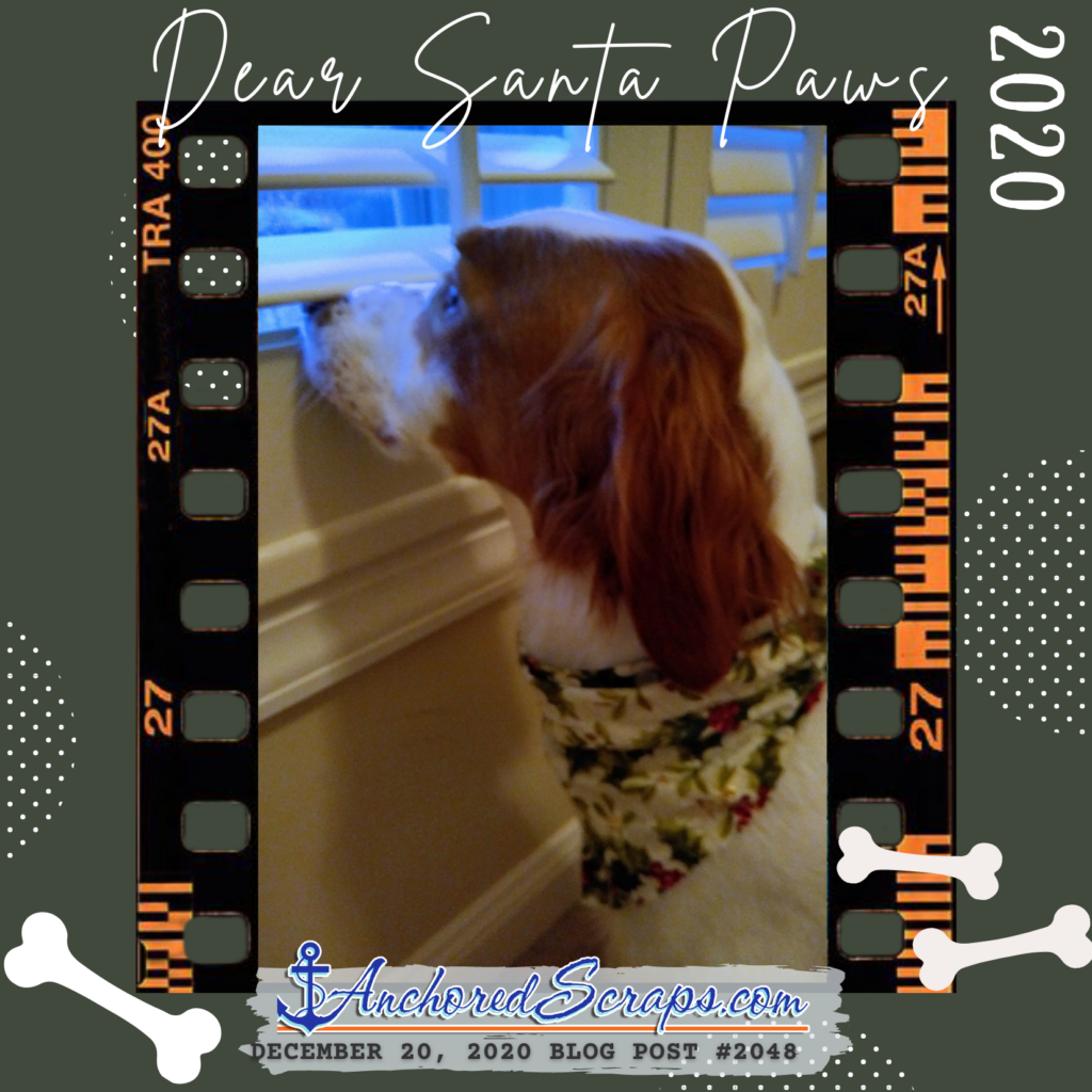 Dear Santa Paws 2020, by Cooper - AnchoredScraps.com